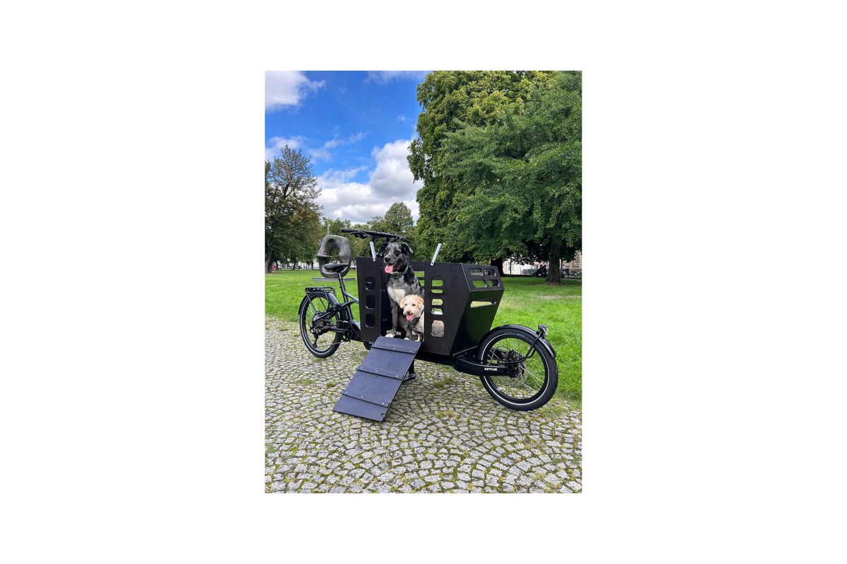 KETTLER Cargoline FS 800, black – MAX-Cargobike GmbH i.L.